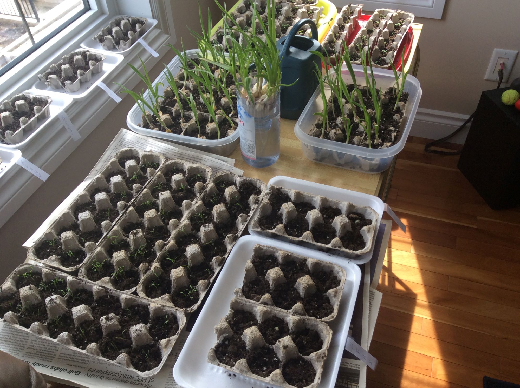 The Garden Plan – The Craftiest Workshop